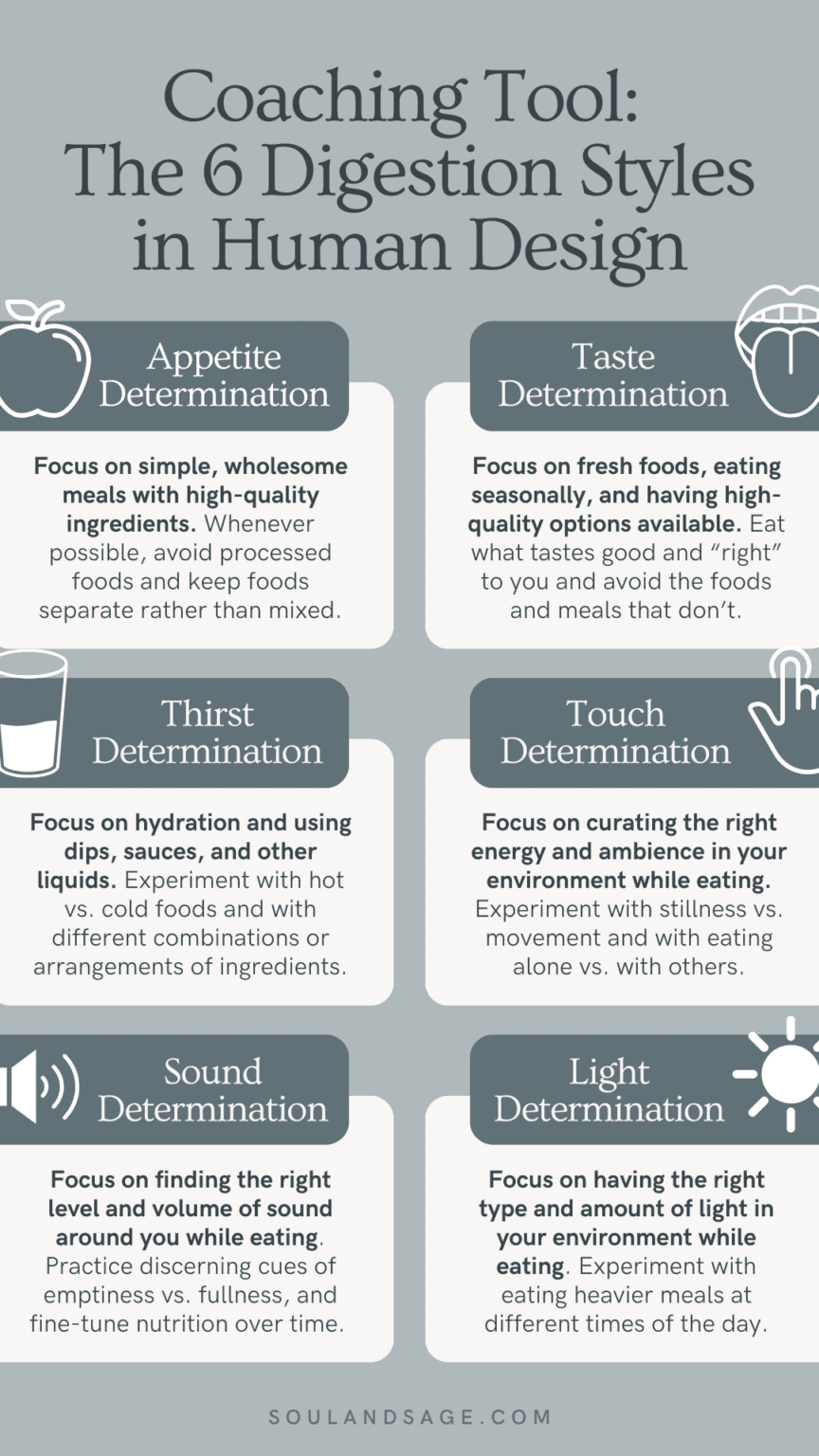 Digestion Styles: How Your Clients Are Meant to Nourish Themselves ...